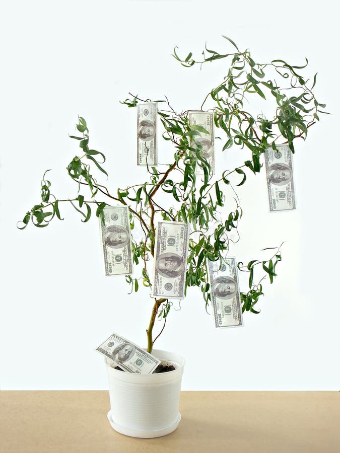 Money grows on trees stock image. Image of finance, notes - 155113