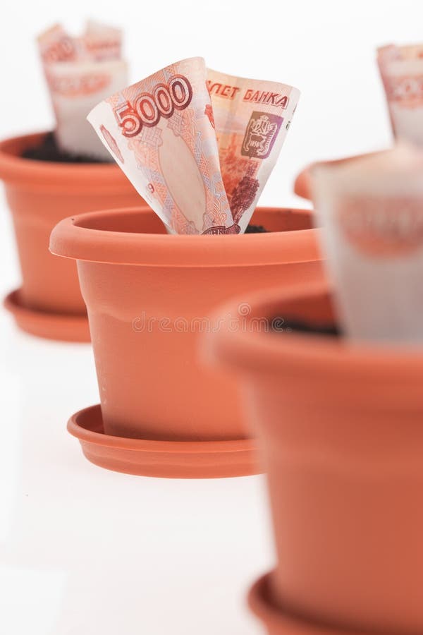 Money growth stock photo. Image of money, growth, notes - 17404104