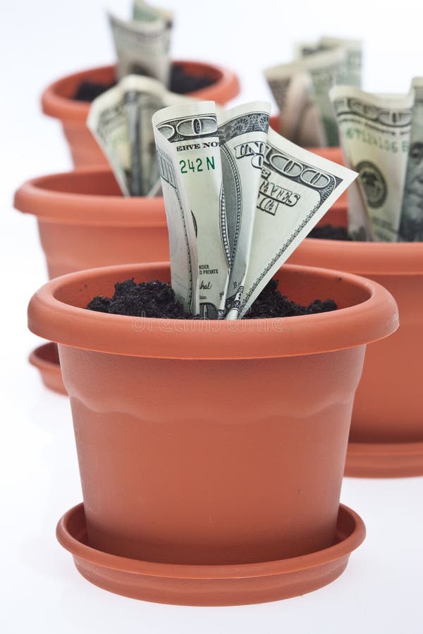 Money growth stock image. Image of currency, dollar, notes - 15511019