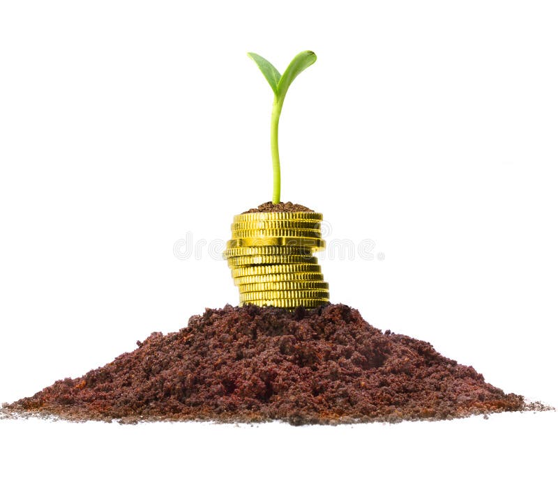 Money growth. stock photo. Image of deposit, ecology - 22357534