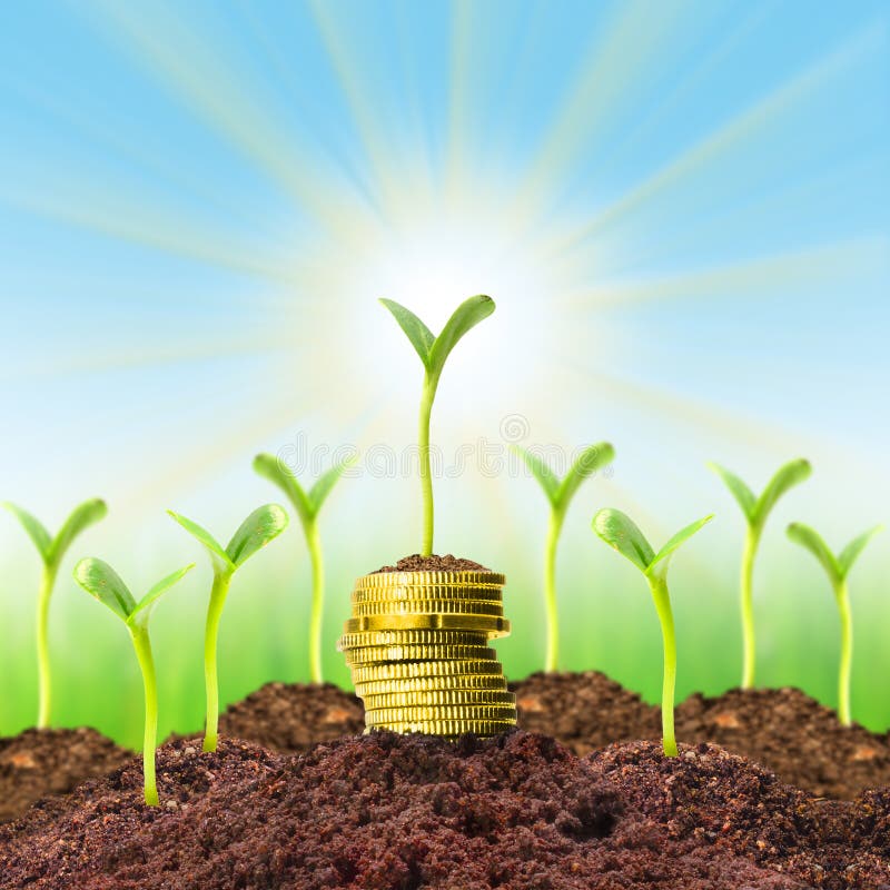 Growth, green, business stock photo. Image of sprout - 56647168