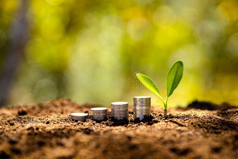 Money and Growth-Stacked Coins on the Ground and There are Trees Nature ...