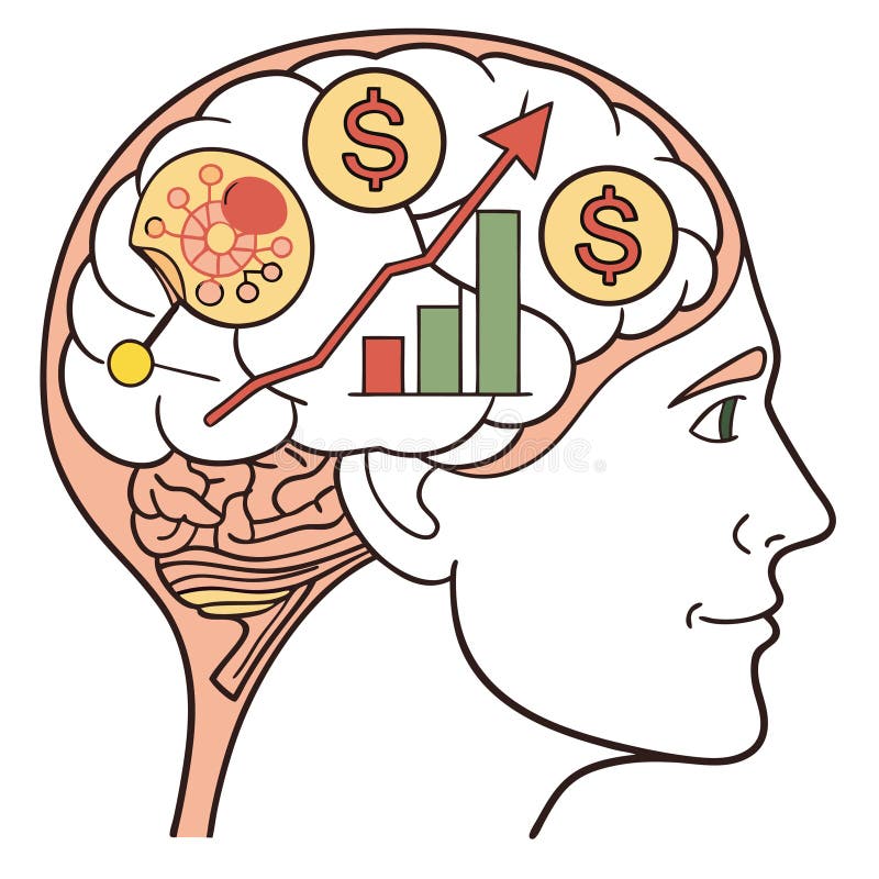 A Money Mindset for Financial Success Human Brain Stock Illustration ...