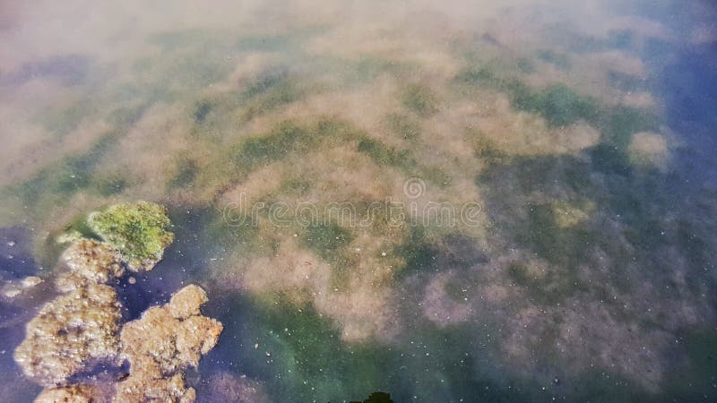 401 Murky Water Texture Stock Photos - Free & Royalty-Free Stock Photos ...