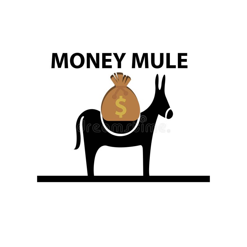 Money Mule Stock Illustrations – 11 Money Mule Stock Illustrations ...