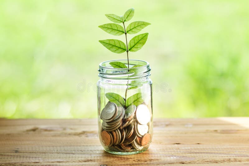 Money in nature stock photo. Image of agriculture, young - 92348362