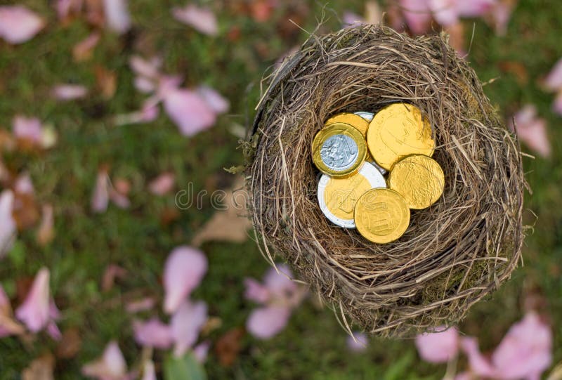 Money Nest stock image. Image of security, banking, finance - 40071017