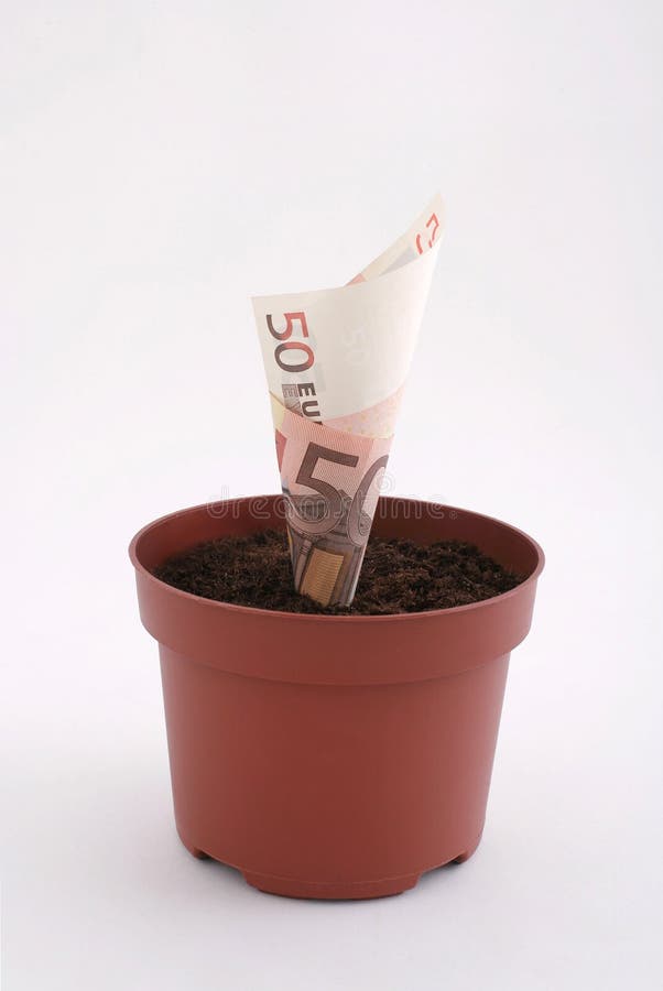 Money note in the pot stock image. Image of euro, invest - 27972351