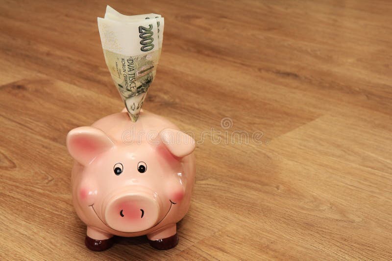 Money Pig stock image. Image of piggies, banks, concept - 29360665