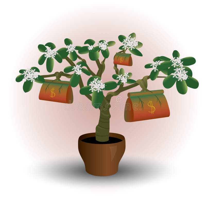 Money plant, flower in pot stock vector. Illustration of financial ...