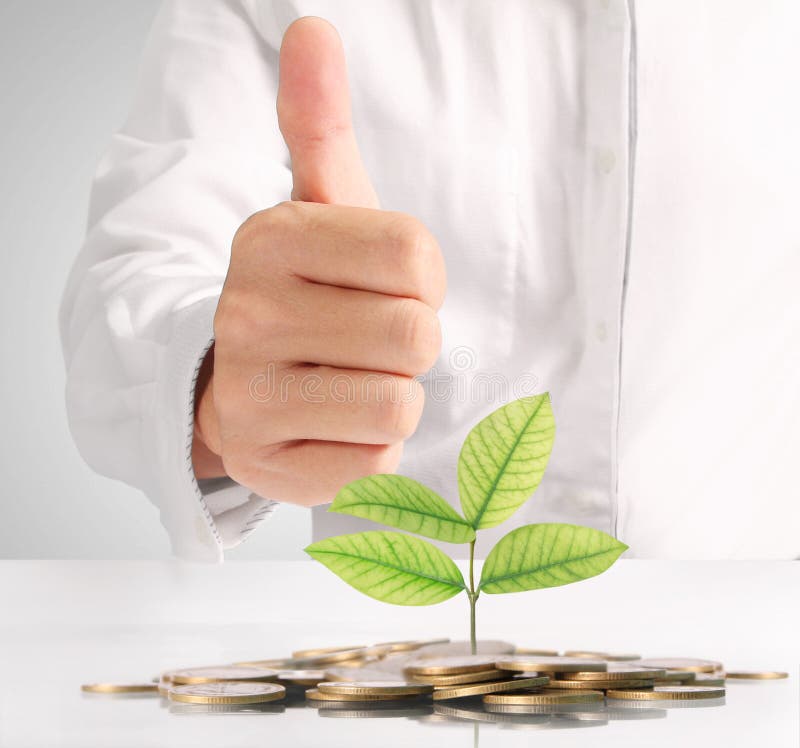 Money Plant Growing from Coins in Hand Stock Image - Image of leaf ...