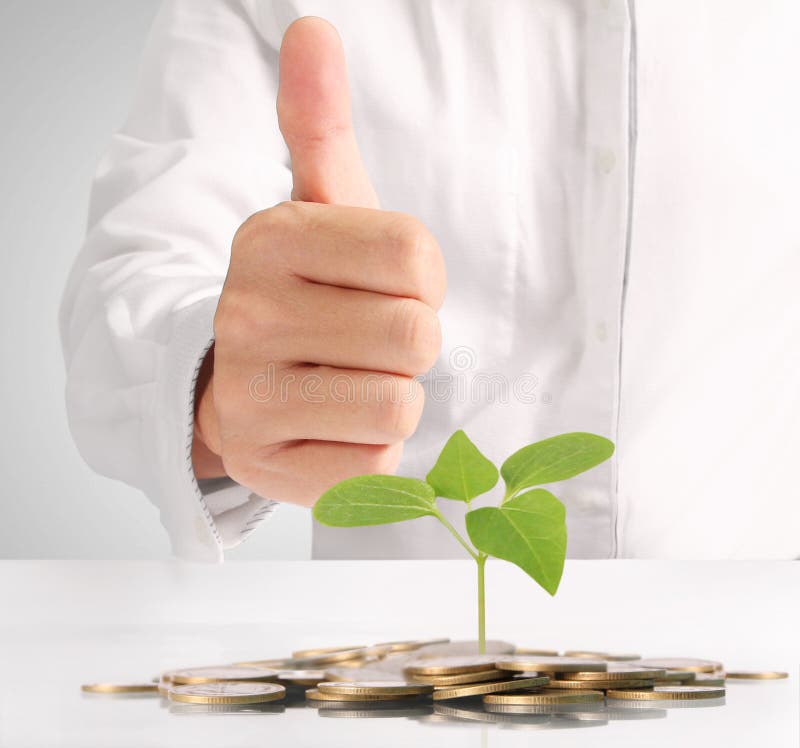 Money Plant Growing from Coins in Hand Stock Image - Image of banking ...