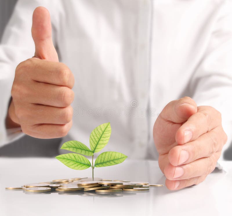 Money Plant Growing from Coins in Hand Stock Photo - Image of branch ...