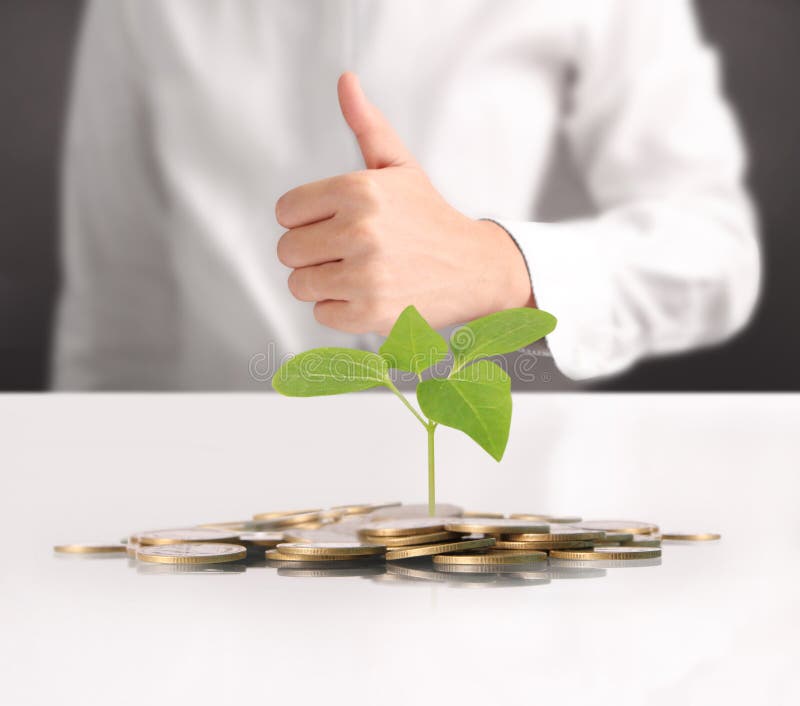 Money Plant Growing from Coins in Hand Stock Image - Image of heap ...