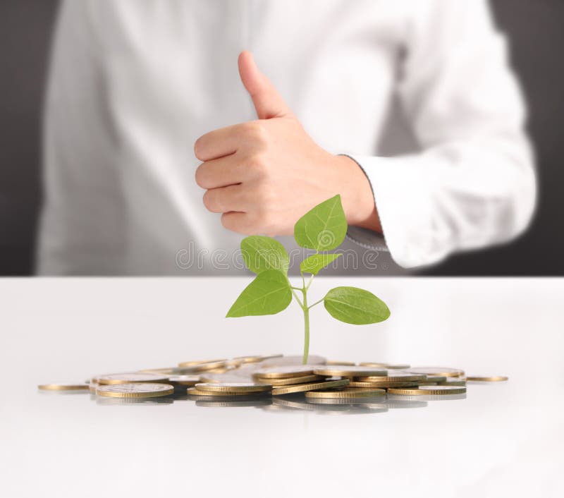 Money Plant Growing from Coins in Hand Stock Image - Image of economic ...