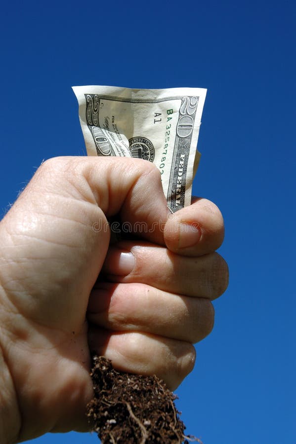 Money and root stock image. Image of fist, debt, currency - 285787