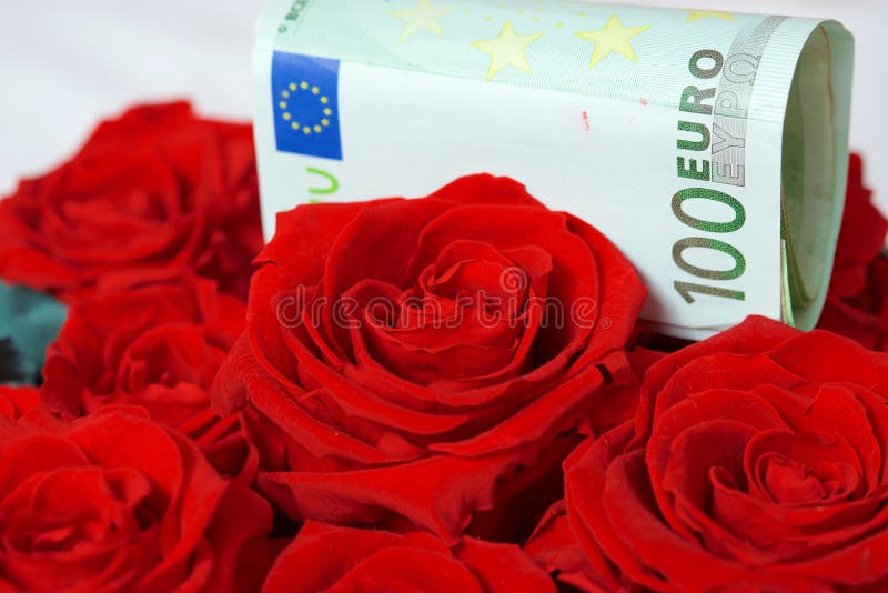 Money and rose stock image. Image of foreign, earnings - 48803701