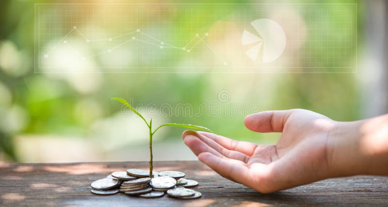 Money Safe and Business Development Stock Image - Image of economic ...