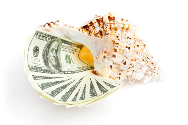 Seashel collection stock image. Image of seashore, beauty - 4485677