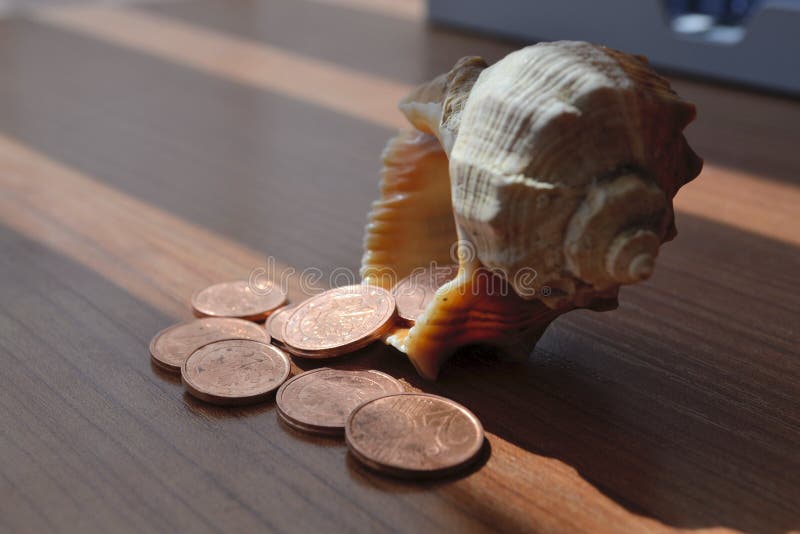 Money and shell stock image. Image of background, dream - 52534959