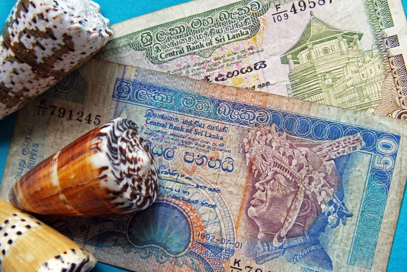 Two Sea Shells Picture. Image: 933666