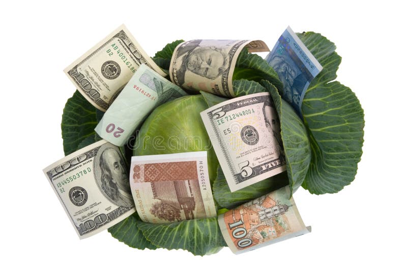 Money Situated on Green Cabbage on White Stock Photo - Image of ...