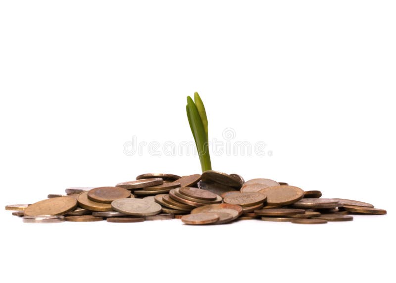 Money sprouts stock photo. Image of euro, financial, payment - 13135376