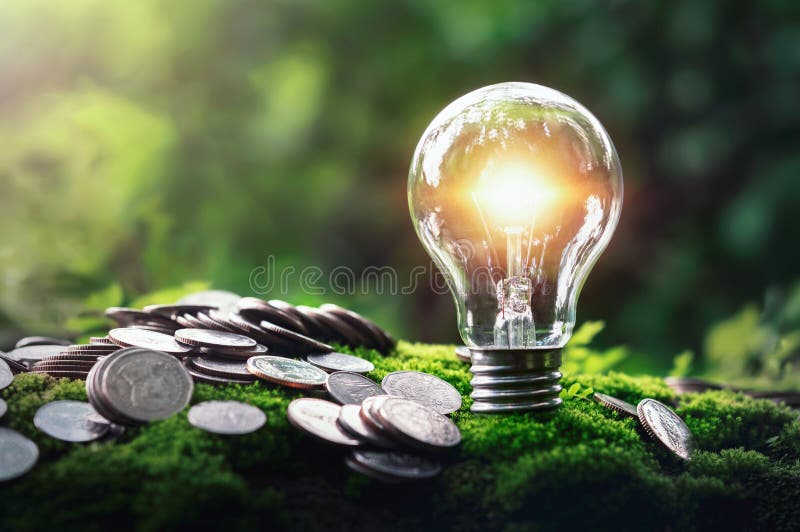 Money Stack with Light Bulb on Green Grass and Sunshine in Nature ...