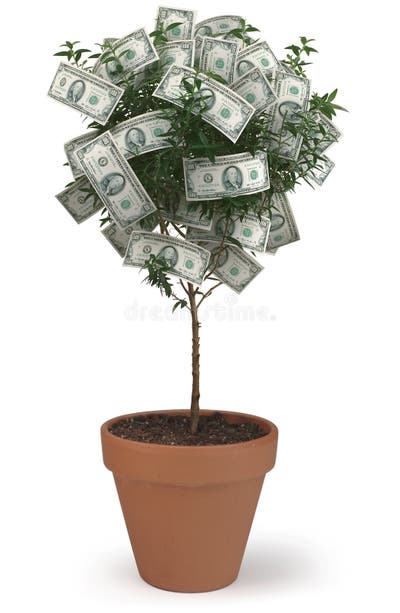 Money Tree stock photo. Image of growth, booming, lotto - 1143230