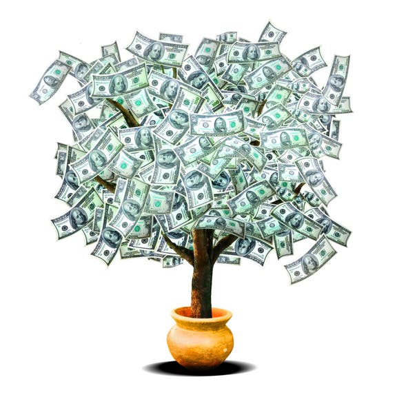 Money tree stock photo. Image of banking, cash, finance - 13719610
