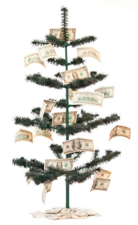 Money tree stock photo. Image of home, tree, green, money - 16439692