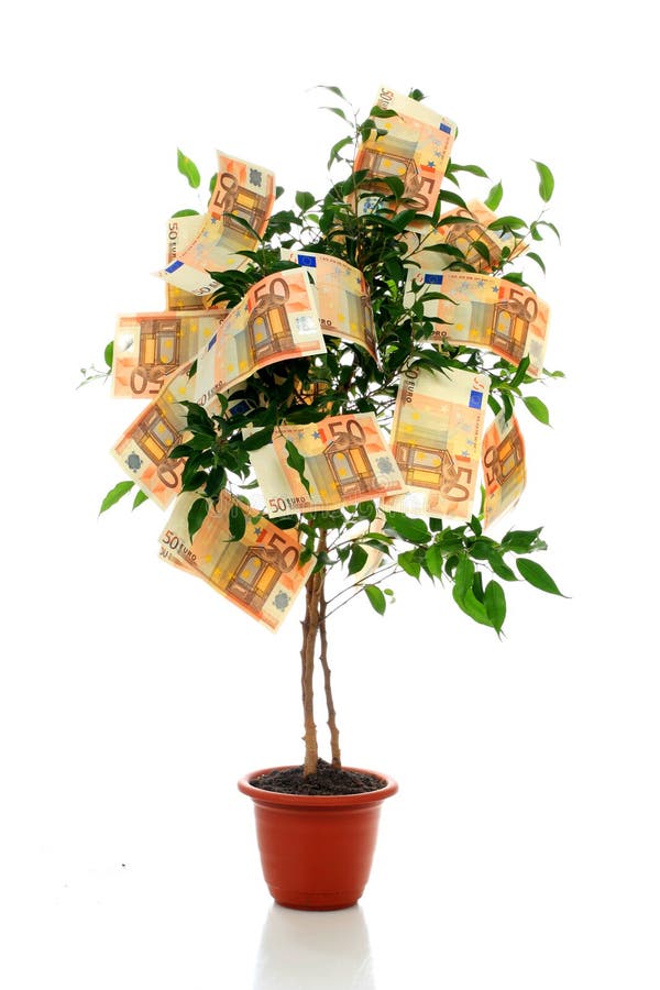Money tree (Euro) stock image. Image of isolated, europe - 3211587