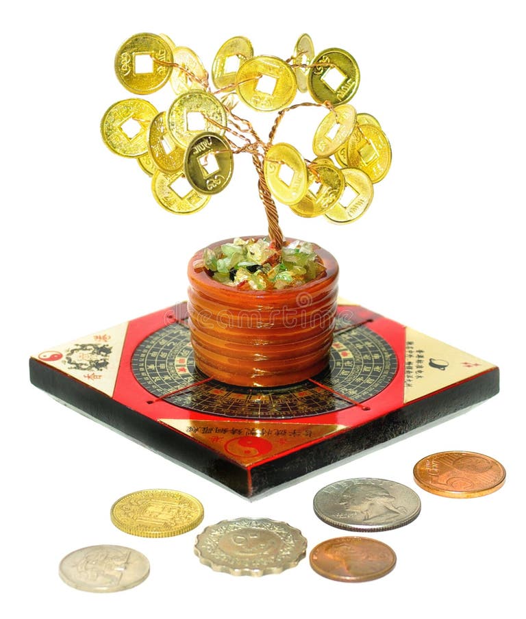 1,533 Chinese Money Plant Stock Photos - Free & Royalty-Free Stock ...