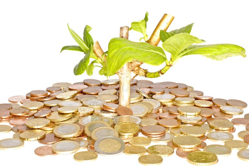 2,831 Euro Money Tree Stock Photos - Free & Royalty-Free Stock Photos ...