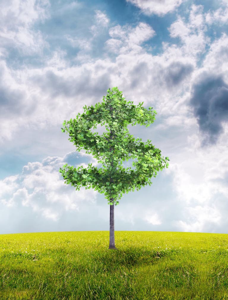 55,000 Money Tree Stock Photos - Free & Royalty-Free Stock Photos from ...