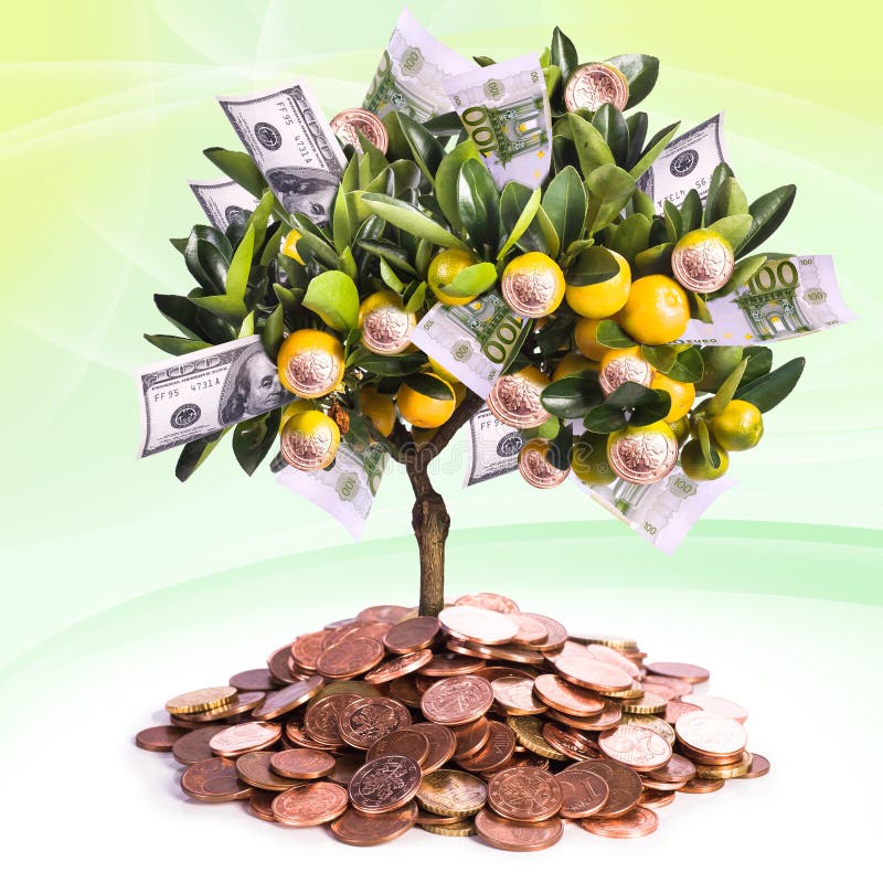 Money tree stock photo. Image of bank, rich, leaf, plant - 17298604