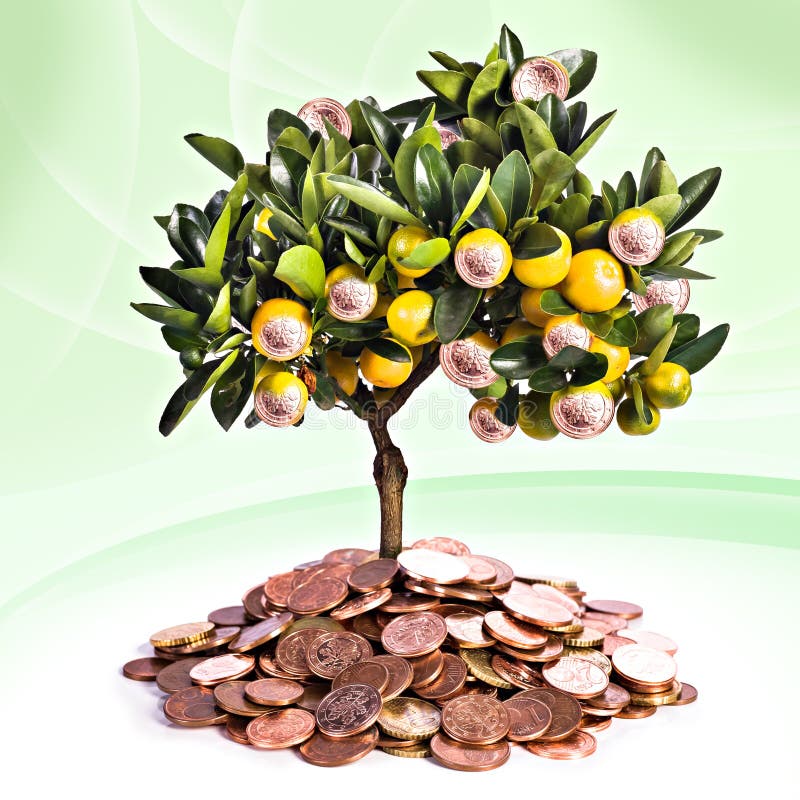 Money tree stock photo. Image of financial, concepts - 23529948