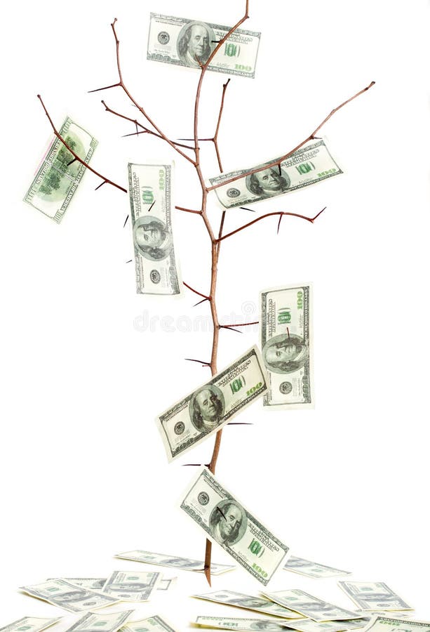 One hundred dollar tree stock image. Image of economy - 2324875