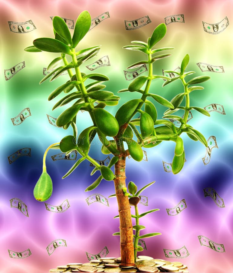 Money tree stock illustration. Illustration of coins - 26903327