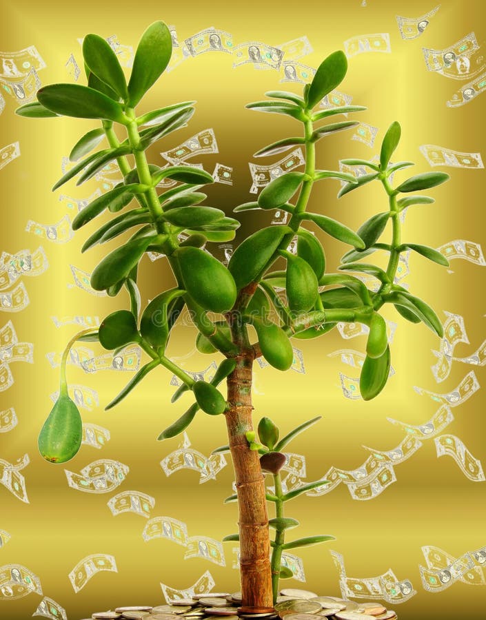 Money tree stock illustration. Illustration of wood, money - 26903593
