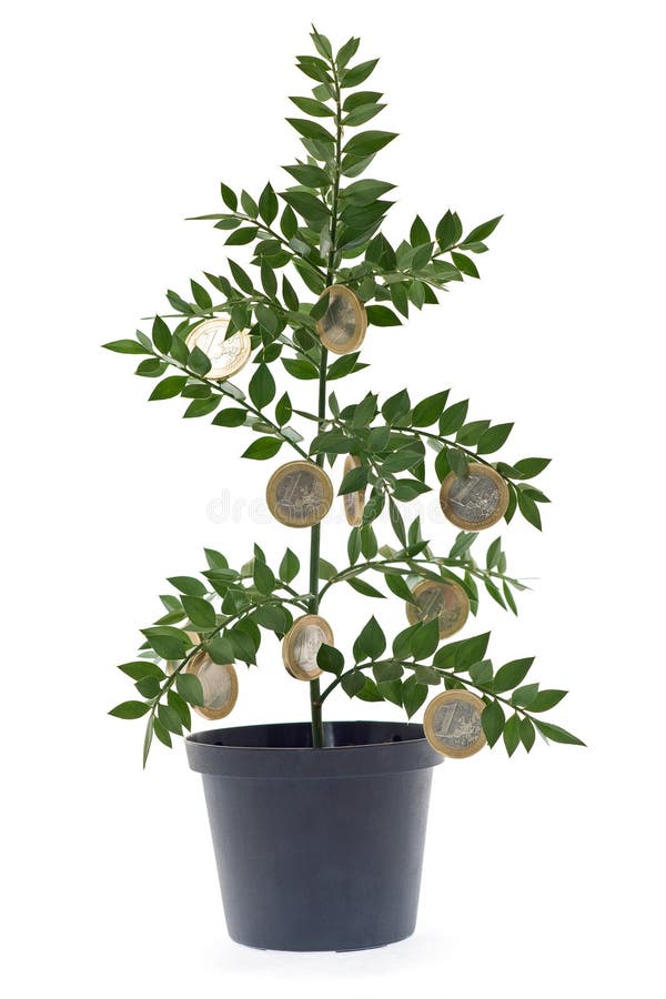 Euro Money Tree Stock Photos - Download 1,859 Royalty Free Photos