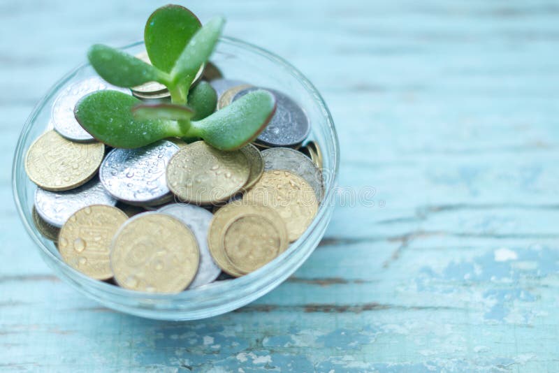 Money Tree on a Blue Background Stock Image - Image of banking, money ...
