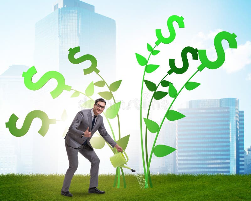 Money Tree Concept with Businessman Watering Stock Image - Image of ...