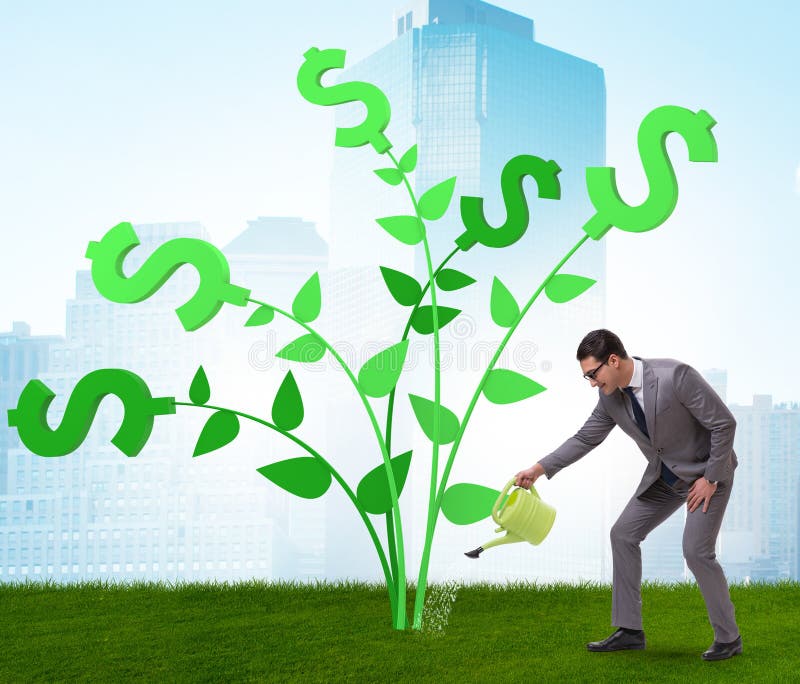 Money Tree Concept with Businessman Watering Stock Photo - Image of ...