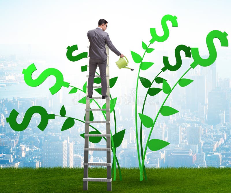 Money Tree Concept with Businessman Watering Stock Photo - Image of ...