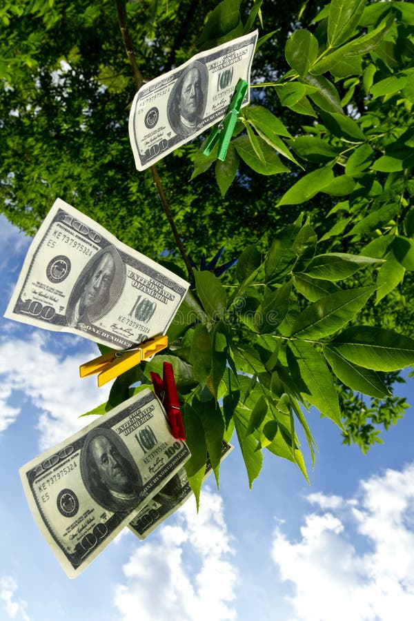 Money tree stock photo. Image of making, paper, green - 31383732