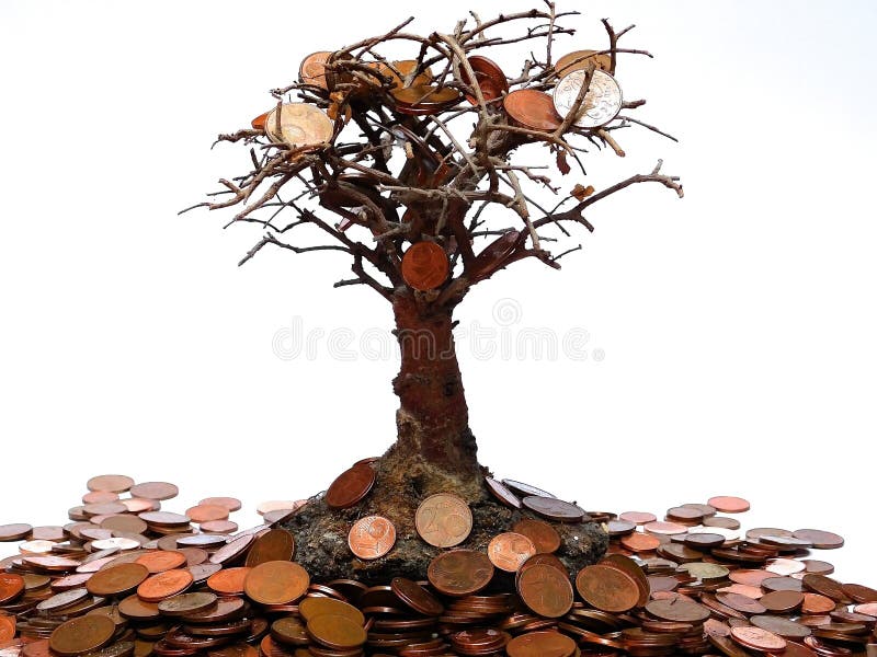 Money tree stock photo. Image of harvest, capital, market - 85726688
