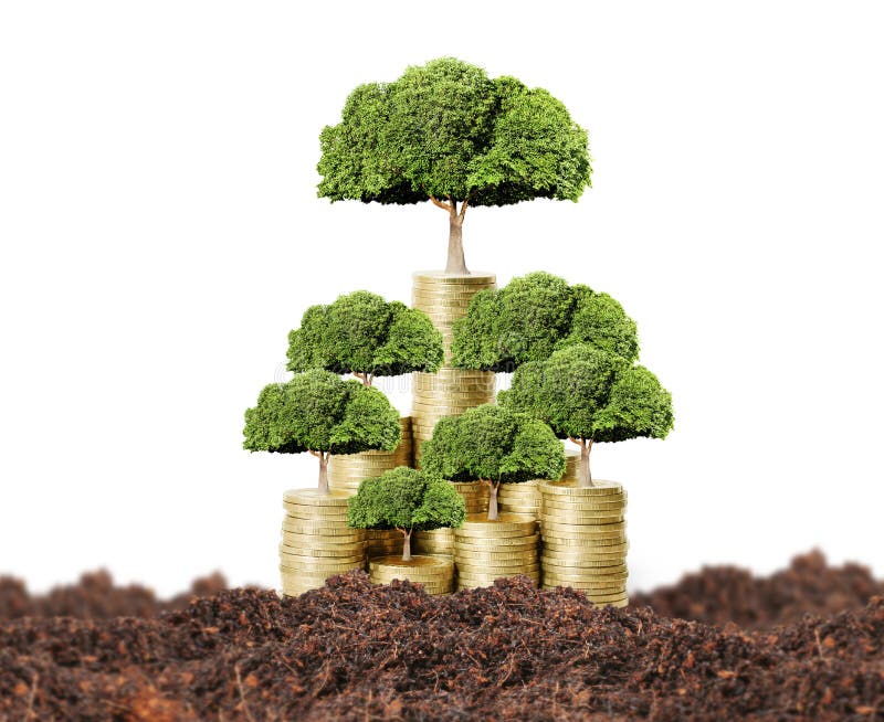 Money Tree Growing from Coins Stock Image - Image of root, coins: 46467067