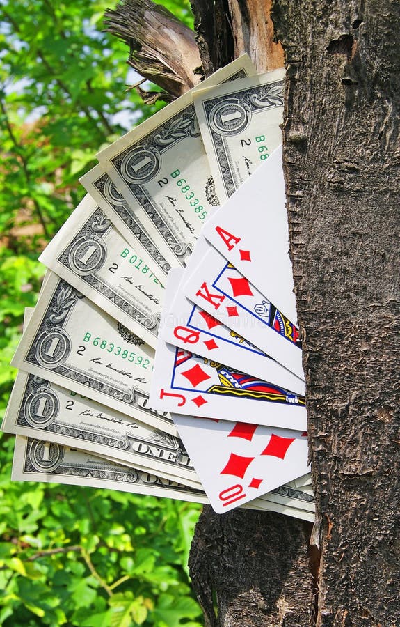 Money Tree and Playing Cards Stock Image - Image of fortune, financial ...