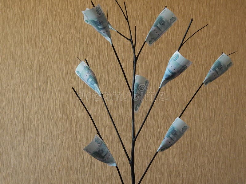 Money tree . Wealth stock image. Image of wealth, tree - 93094865